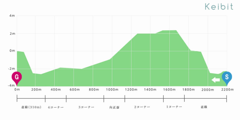 【中山芝2200m】コースの特徴や傾向をわかりやすく解説｜Keibit（ケイビット）