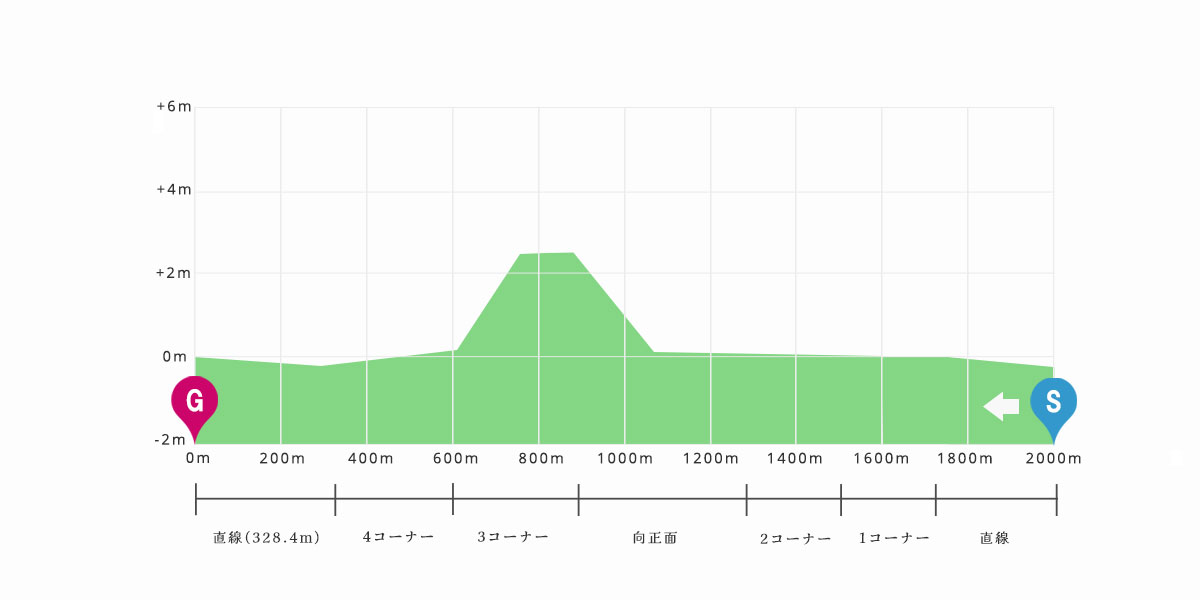 【京都芝2000m】コースの特徴や傾向をわかりやすく解説｜Keibit（ケイビット）