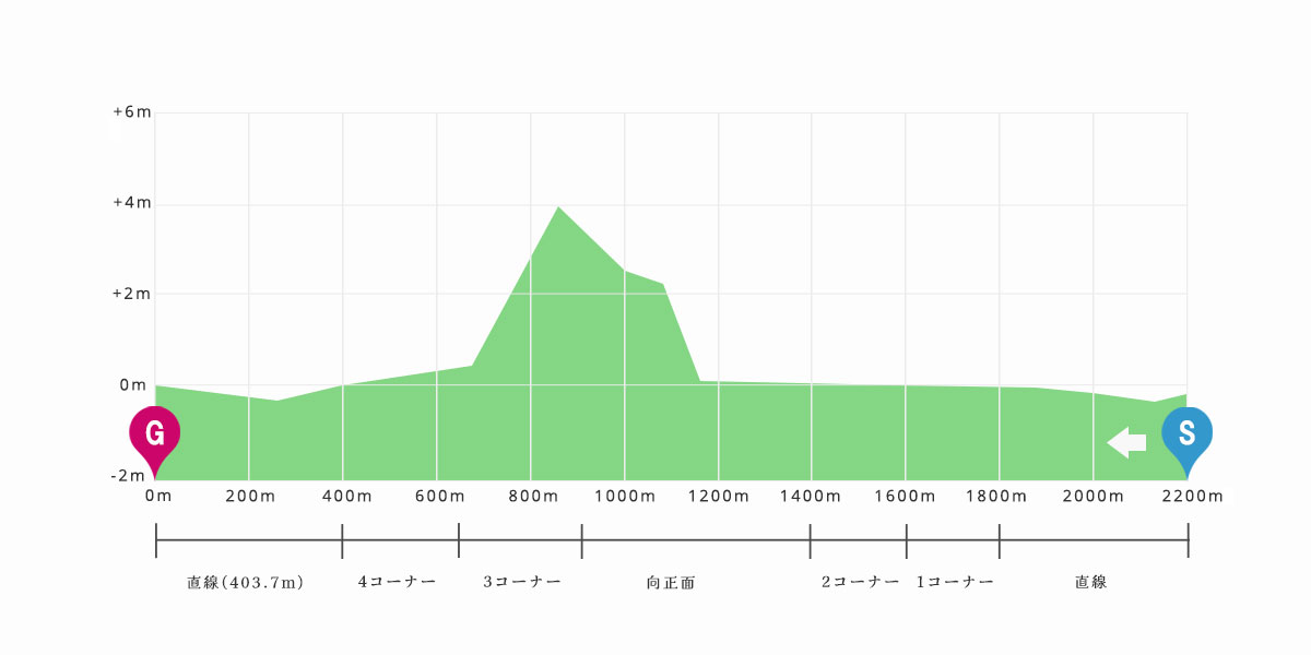 【京都芝2200m】コースの特徴や傾向をわかりやすく解説｜Keibit（ケイビット）