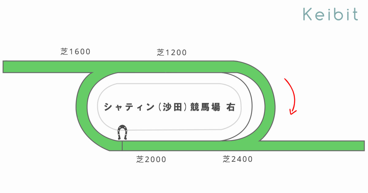 【香港国際競走】シャティン競馬の特徴や傾向をわかりやすく解説【香港チャンピオンズデー】｜Keibit（ケイビット）