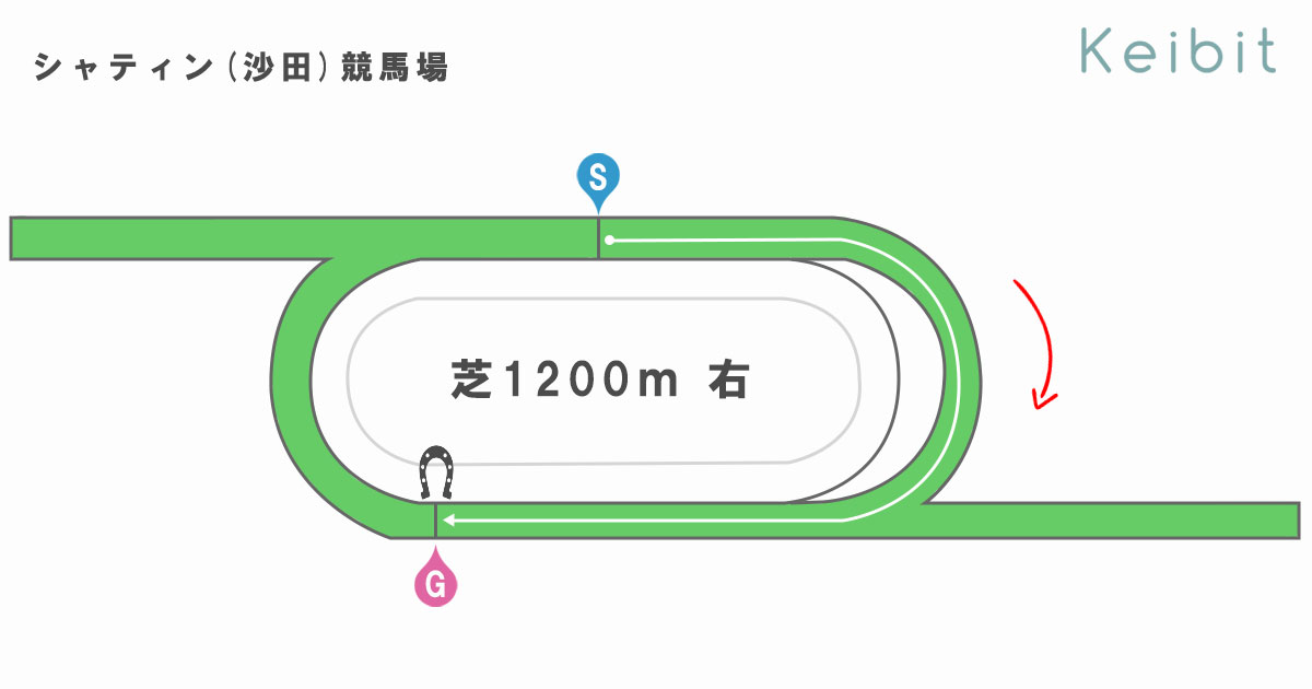 【香港国際競走】シャティン競馬の特徴や傾向をわかりやすく解説【香港チャンピオンズデー】｜Keibit（ケイビット）