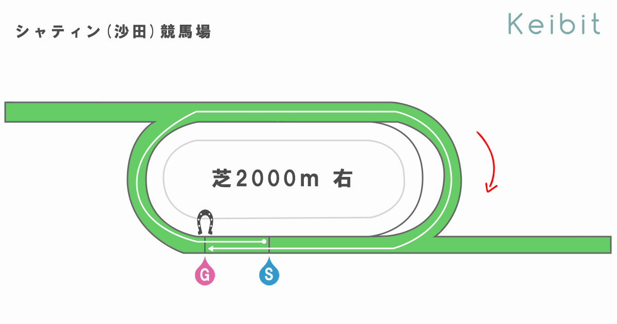 【香港国際競走】シャティン競馬の特徴や傾向をわかりやすく解説【香港チャンピオンズデー】｜Keibit（ケイビット）