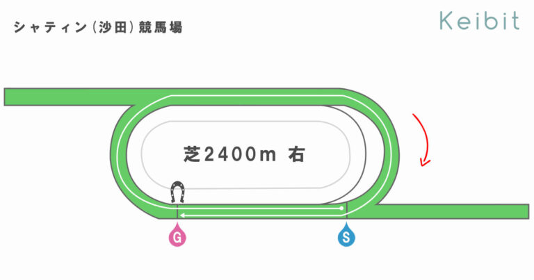 【香港国際競走】シャティン競馬の特徴や傾向をわかりやすく解説【香港チャンピオンズデー】｜Keibit（ケイビット）