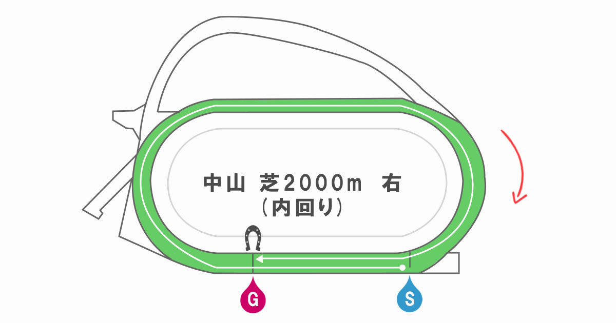 【中山芝2000m】コースの特徴や傾向をわかりやすく解説｜Keibit（ケイビット）