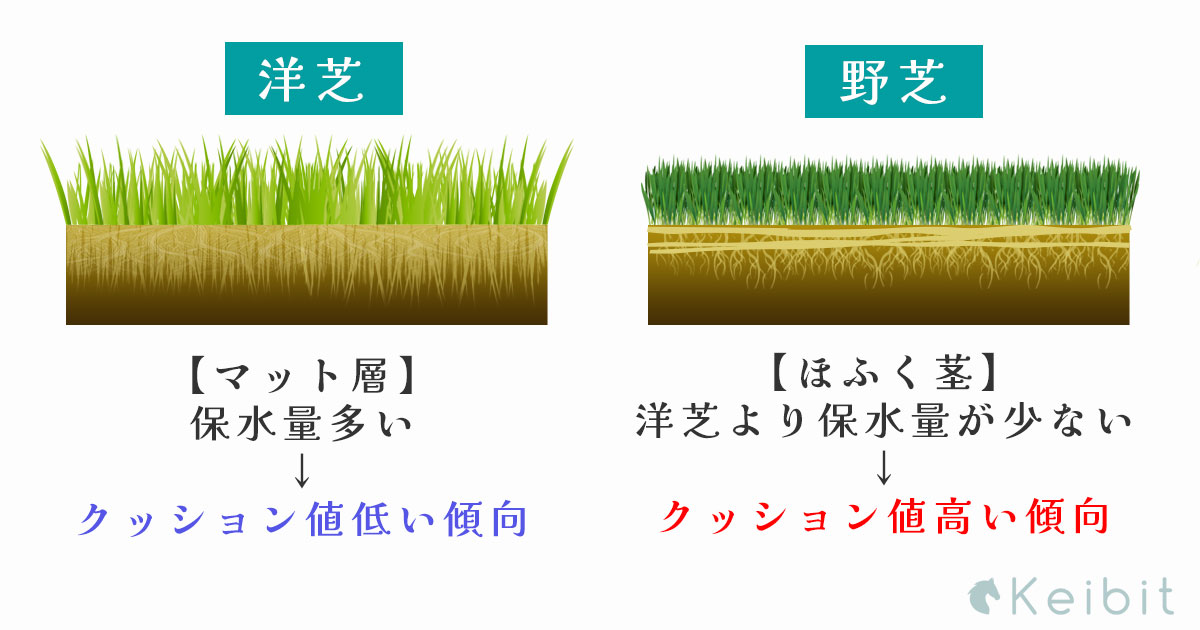 馬場の指標となる「クッション値」とは？影響や効果的な使い方を解説｜Keibit（ケイビット）