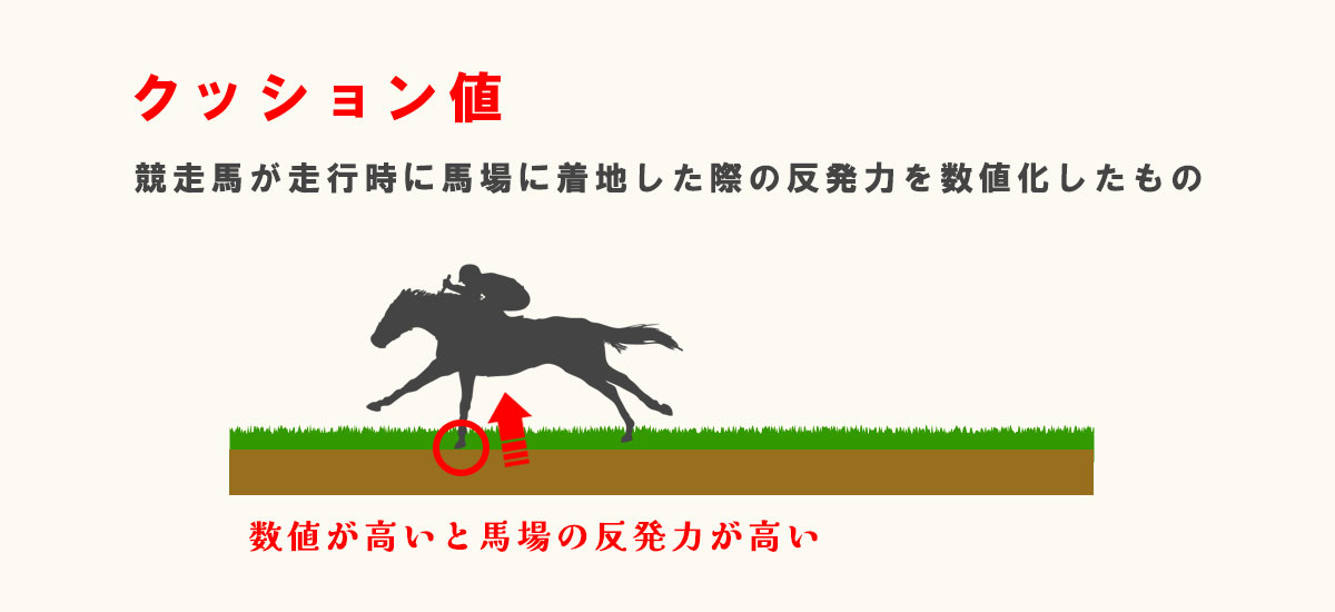 馬場の指標となる「クッション値」とは？影響や効果的な使い方を解説｜Keibit（ケイビット）