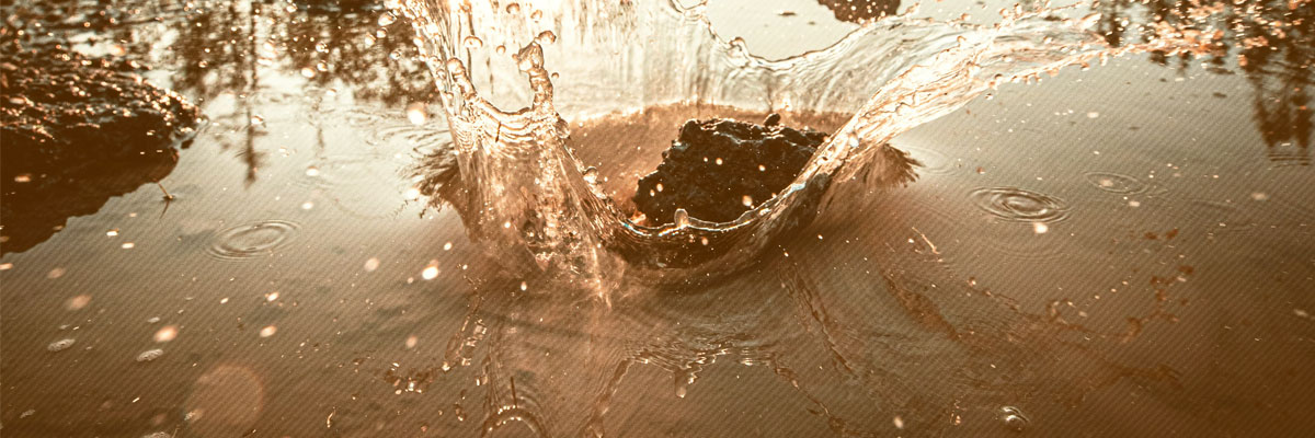 雨が「ダート」レースに与える影響は？重馬場で有利になる脚質や血統についても紹介｜Keibit（ケイビット）